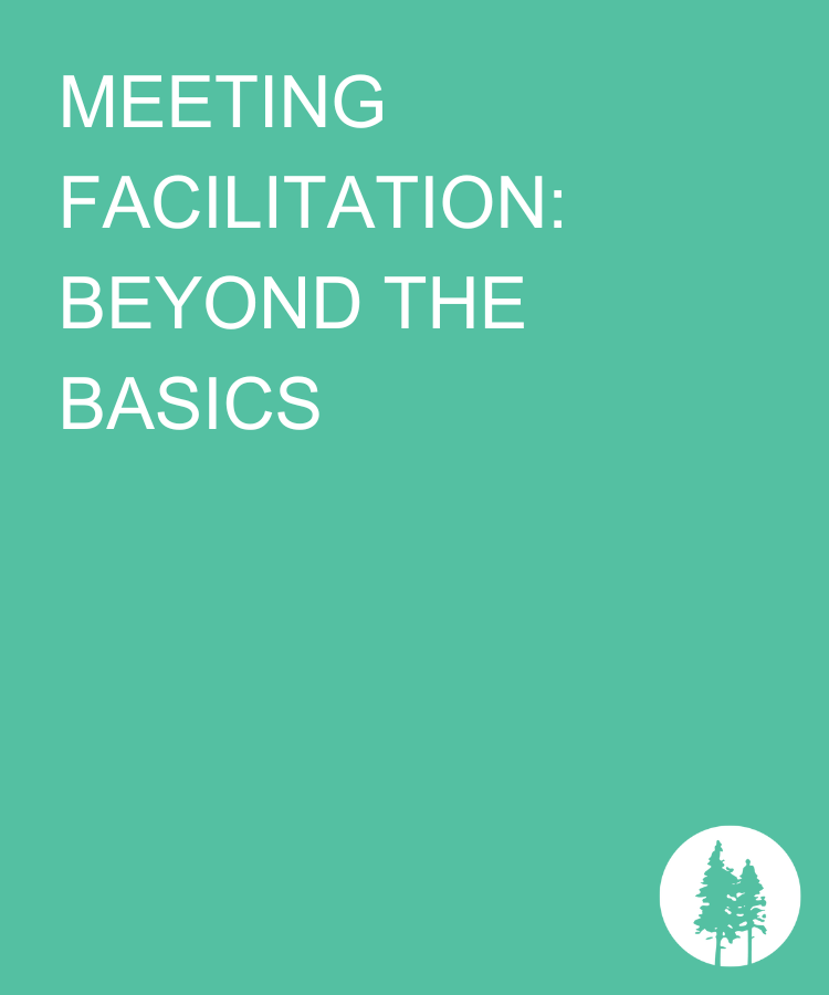 Fall Webinar Series — Meeting Facilitation: Beyond the Basics | NASCO